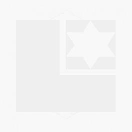 Mesianico de Shabbat - CD Vol. 1 & 2 – Messianic Jewish Publishers